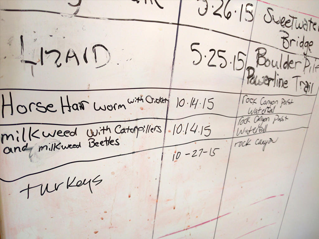 San Diego County Outdoor Education Foundation – Supporting Sixth Grade ...